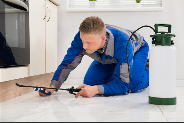 Pest Control Sydney | Pest Control In Sydney | Cleaning Centre
