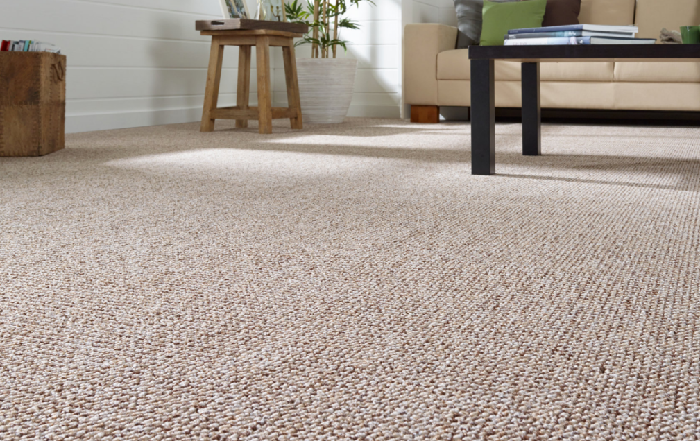 What to Know Related Home Carpets